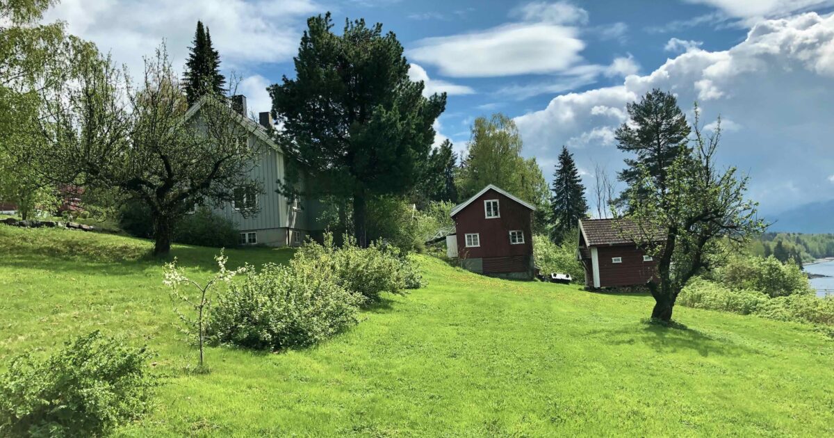 Pilegrimsleden | Brynn i Bergsengroa