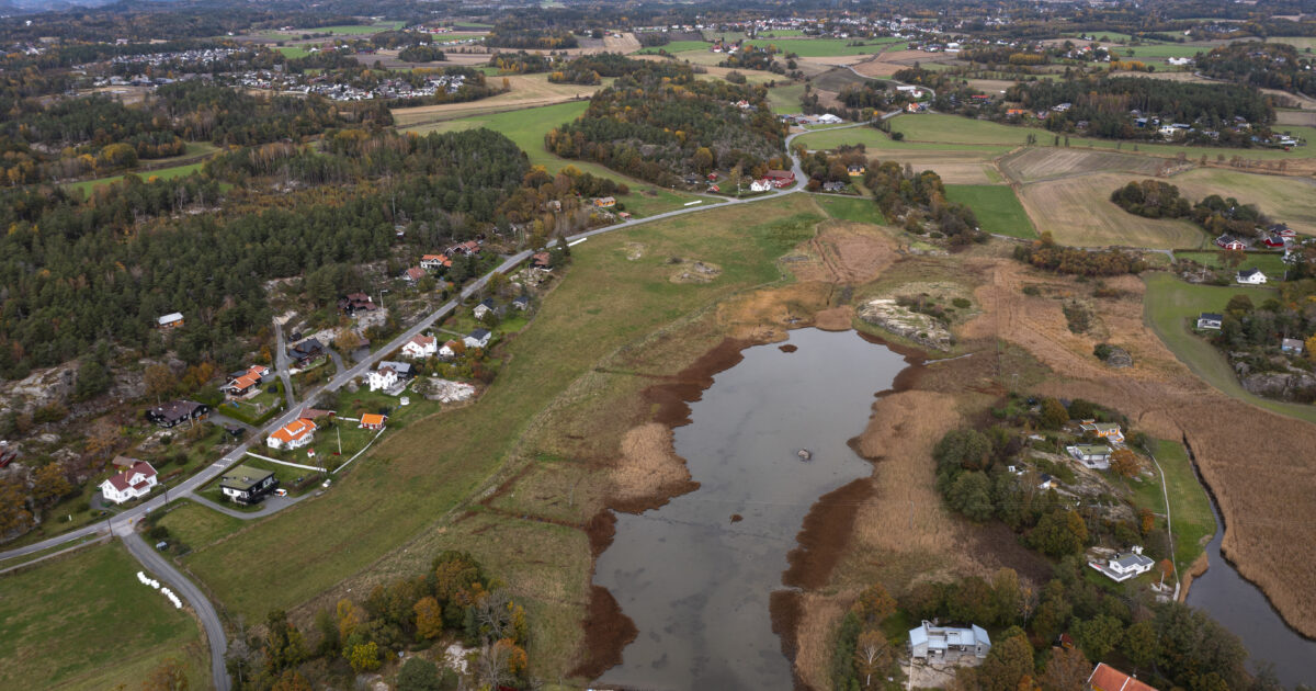 Pilegrimsleden | Kaupang vikingby