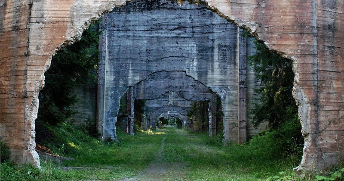 Pilegrimsleden | Trandumskogen